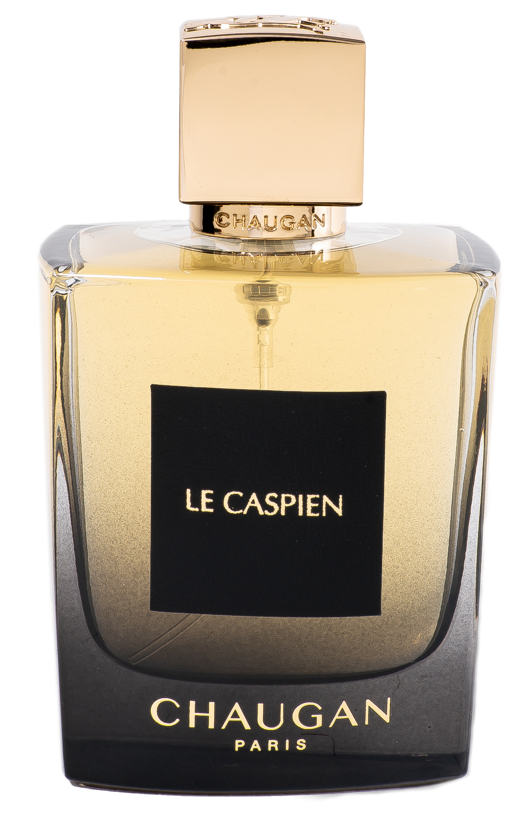 Le Caspien Chaugan perfume - a new fragrance for women and men 2024