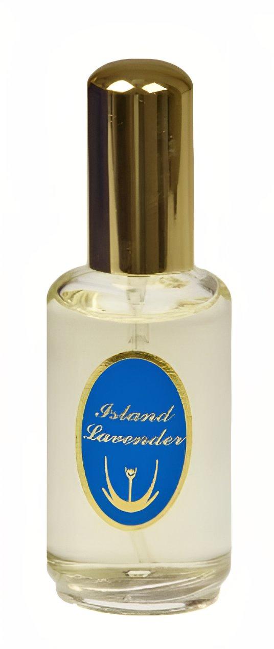 Island Lavender Caldey perfume - a fragrance for women and men