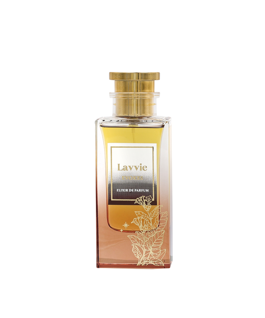 EVOKES LAVVIE PERFUMES perfume - a new fragrance for women and men 2024