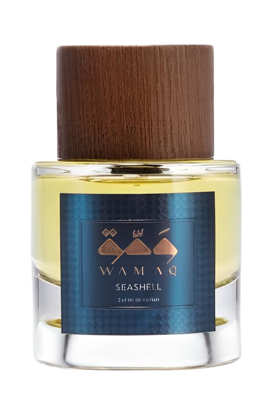 Seashell WAMAQ perfume - a new fragrance for women and men 2024
