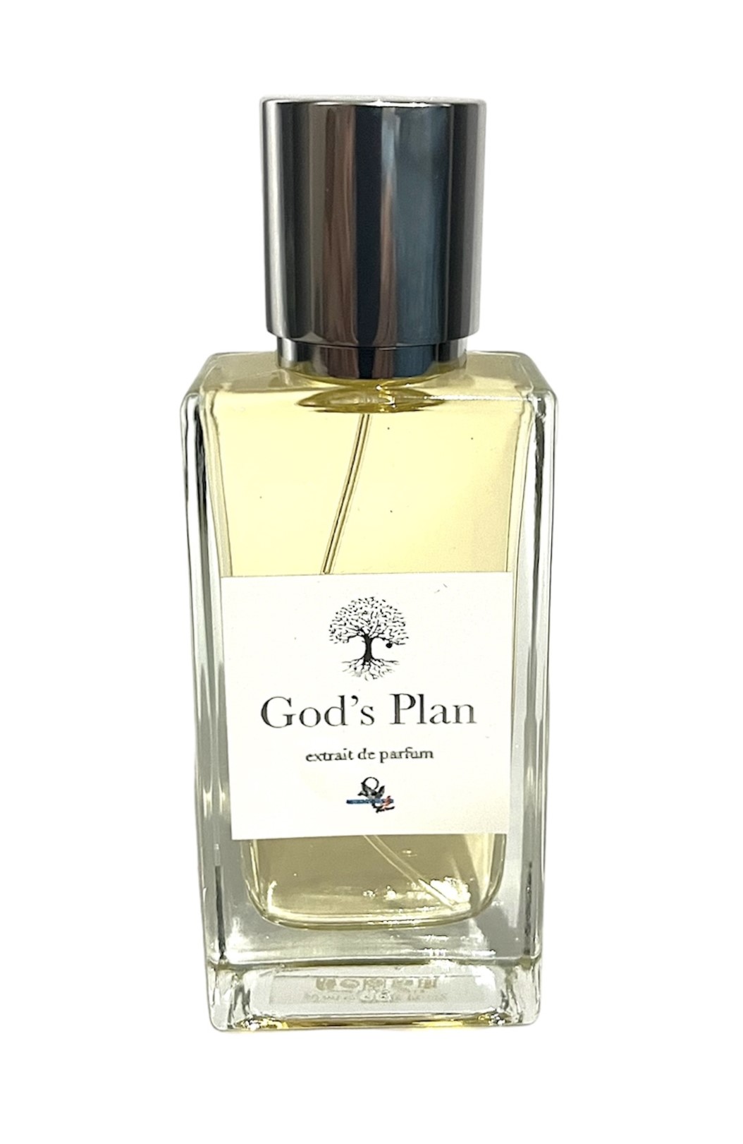 God's Plan Morningstar Perfume - una fragranza unisex 2023