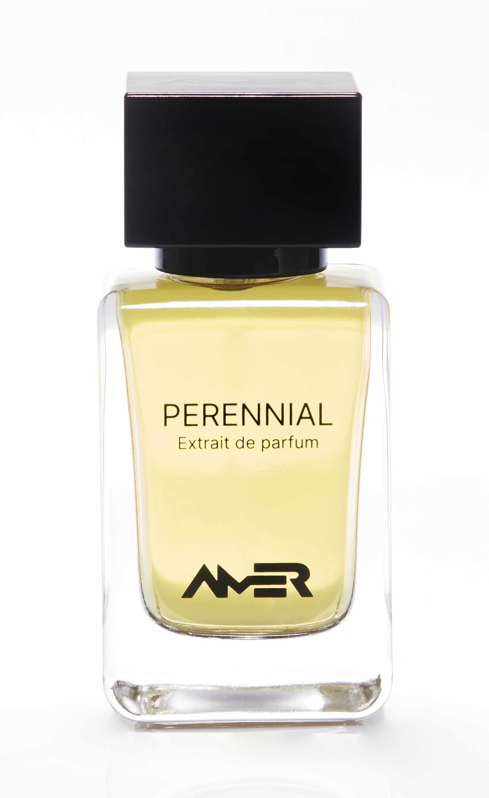 Perennial Amer Perfumes perfumy - to nowe perfumy dla kobiet i mężczyzn 2024