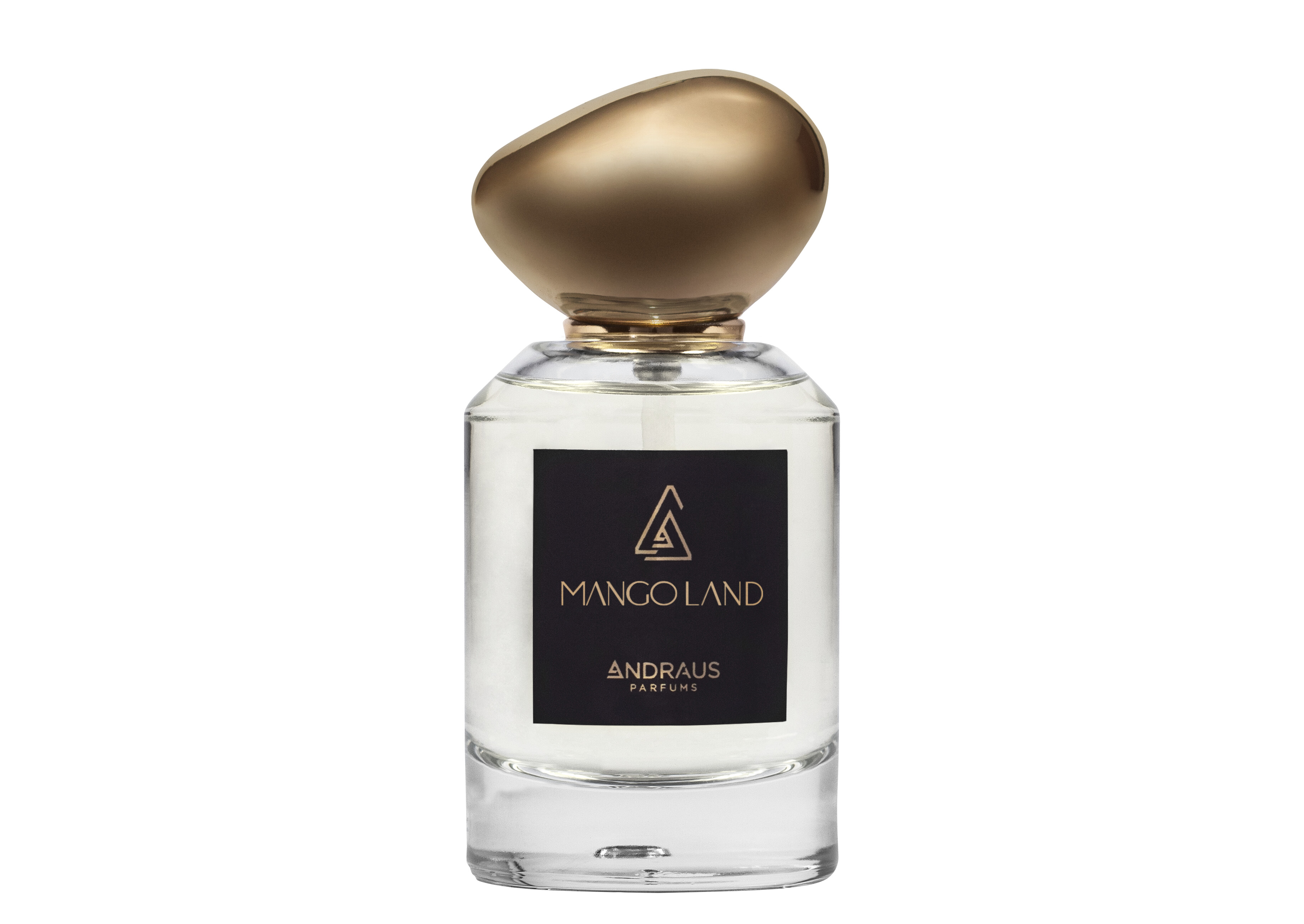 Mango Land Andraus Parfums perfume - a new fragrance for women and men 2024