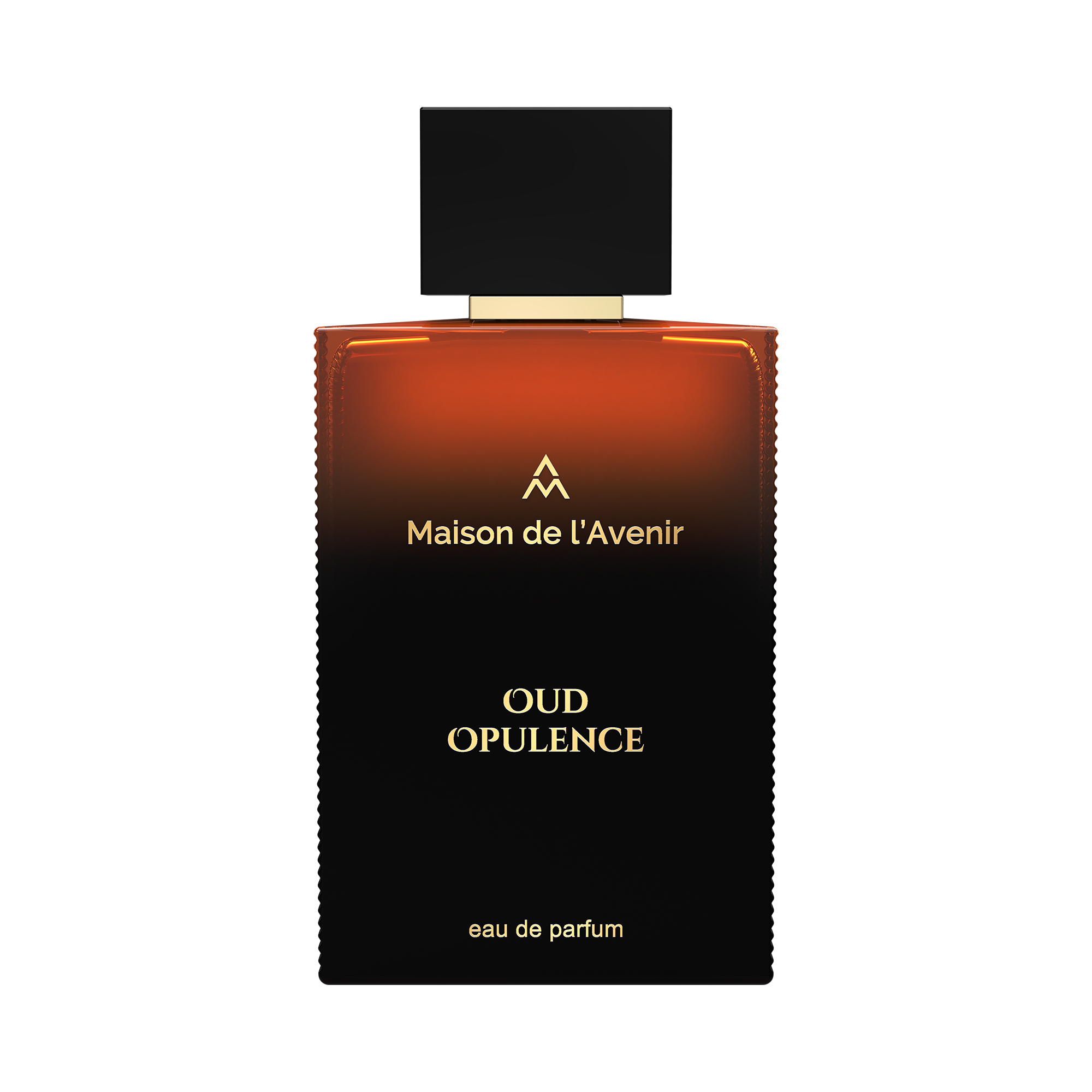 Oud Opulence Maison de l'Avenir perfume - a new fragrance for women and men 2024