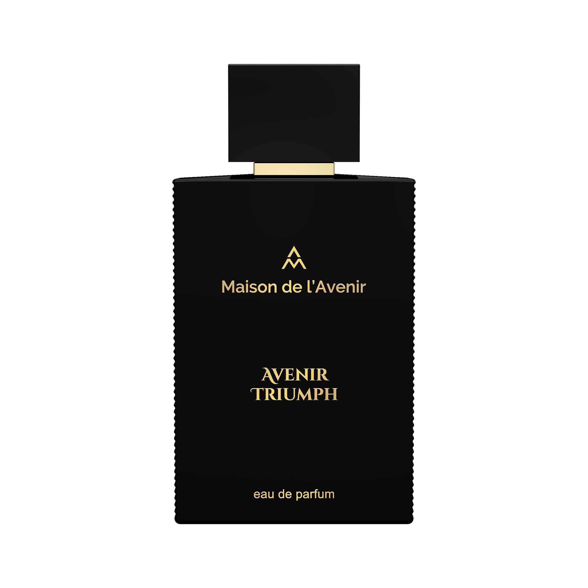 Avenir Triumph Maison de l'Avenir perfume - a new fragrance for women and men 2024