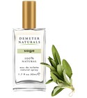Sage perfume ingredient, Sage fragrance and essential oils Salvia ...