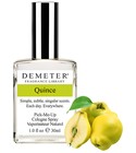 Quince perfume ingredient, Quince fragrance and essential oils Cydonia ...