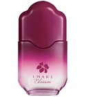 Imari (Original) 1985 Avon perfume - a fragrance for women 1985