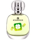 essence Perfumes And Colognes