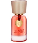 Cupid Perfumes Perfumes And Colognes