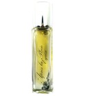 Acacia perfume ingredient, Acacia fragrance and essential oils Acacia ...