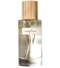 Angelica perfume ingredient, Angelica fragrance and essential oils ...