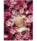 Rose by Cardin Pierre Cardin fragancia - una fragancia para Mujeres 1990