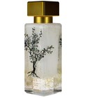 Magic Al-Jazeera Perfumes parfum - un parfum pour homme et femme 2016
