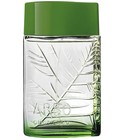 Yitsu JAFRA cologne - a fragrance for men 2008