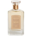 Cashmere Vanilla Being Frenshe perfume - a new fragrance for women and men 2024