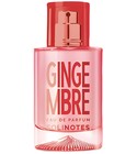 Infusion de Gingembre Prada perfume - a new fragrance for women and men ...