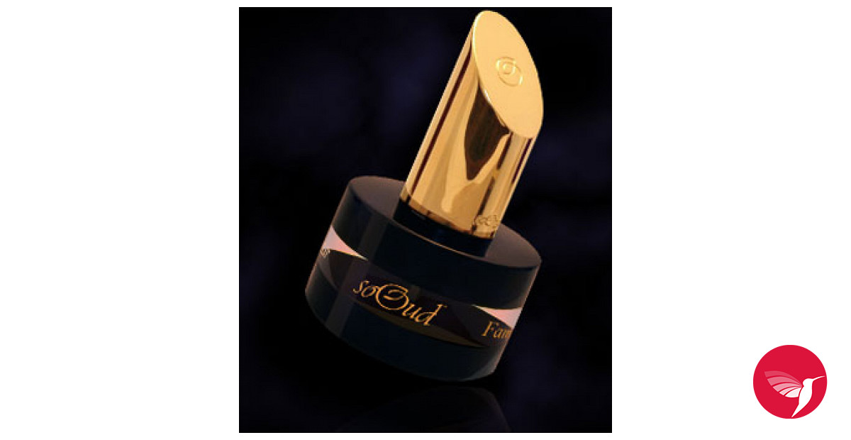 Fam SoOud аромат — аромат для мужчин и женщин 2010