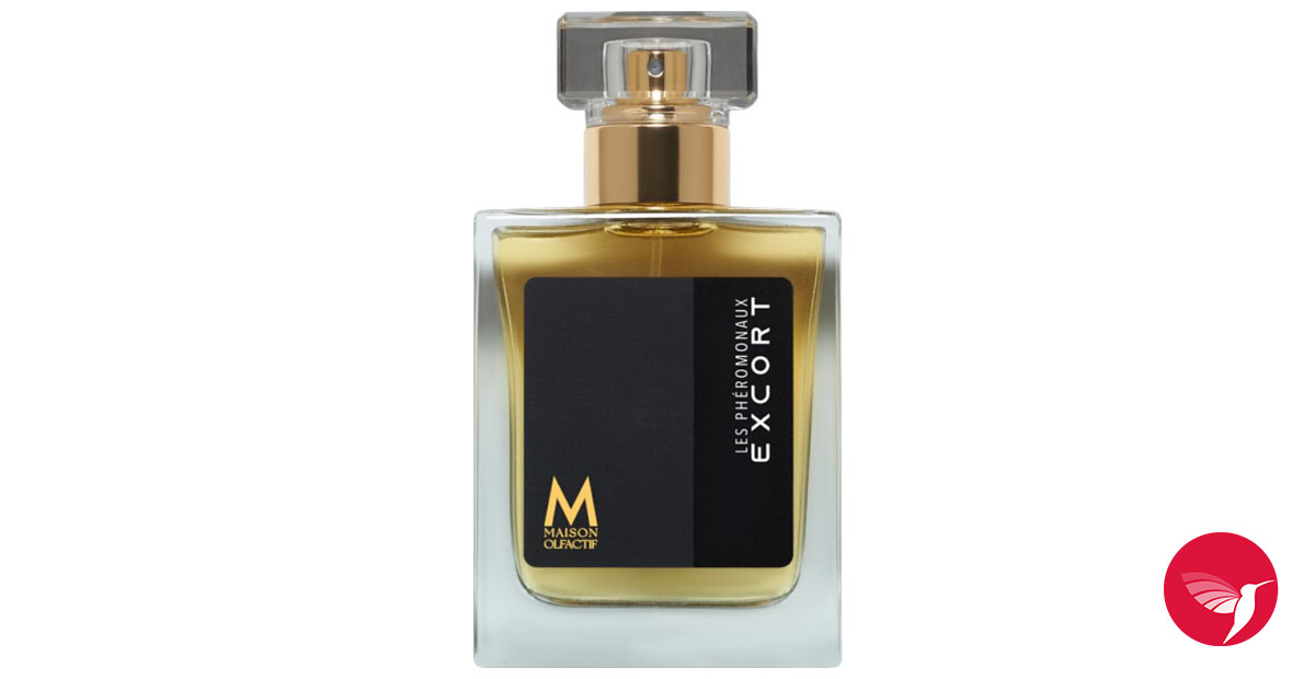 Excort MAISON OLFACTIF perfume - a new fragrance for women and men 2024