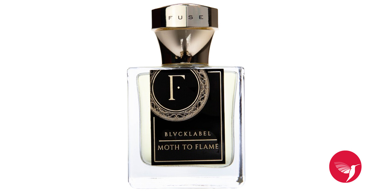 Moth To Flame Fuse perfume - a new fragrance for women and men 2024