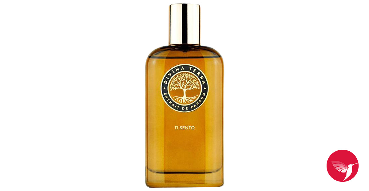 Ti Sento DiVina Terra perfume - a fragrance for women and men 2023
