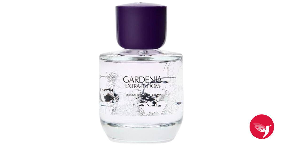 Gardenia Extra-Bloom Zara perfume - a novo fragrância Feminino 2025