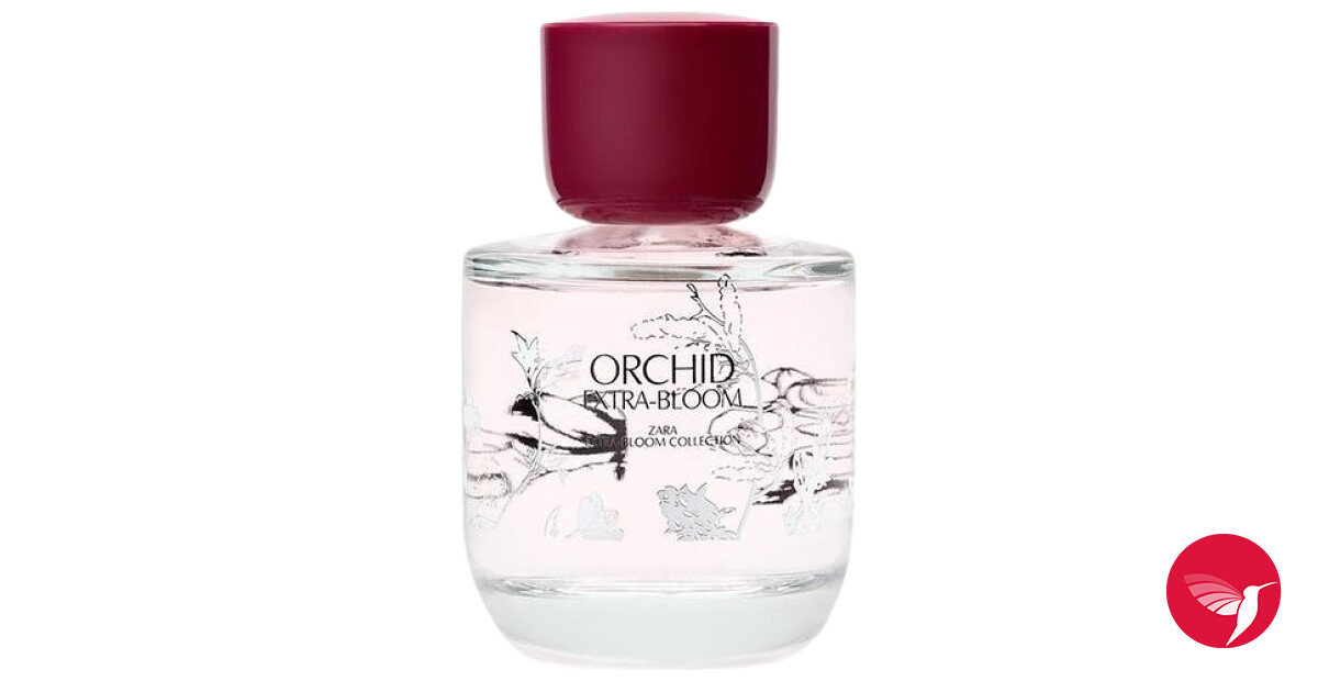 Orchid Extra-Bloom Zara perfume - a novo fragrância Feminino 2025
