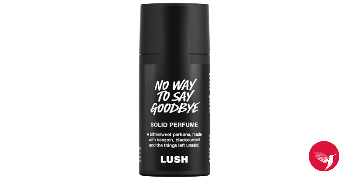 No Way To Say Goodbye Lush parfum - een geur voor dames en heren 2024