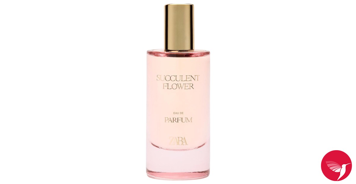 Succulent Flower Zara عطر - a جديد fragrance للنساء 2025
