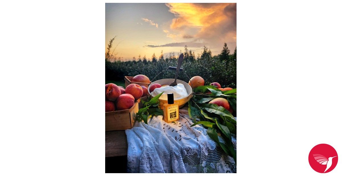 Iced Nectar Solstice Scents perfume - a new fragrance for women and men ...