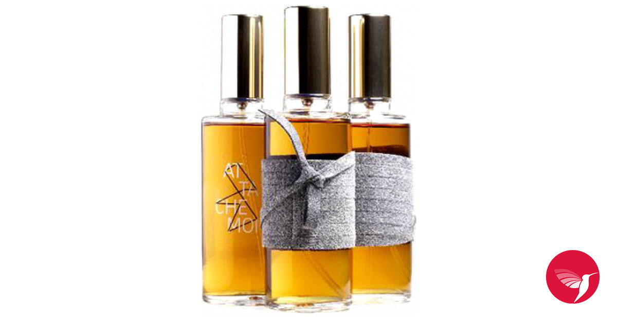 Attache-Moi ICONOFLY perfume - a fragrance for women and men 2009