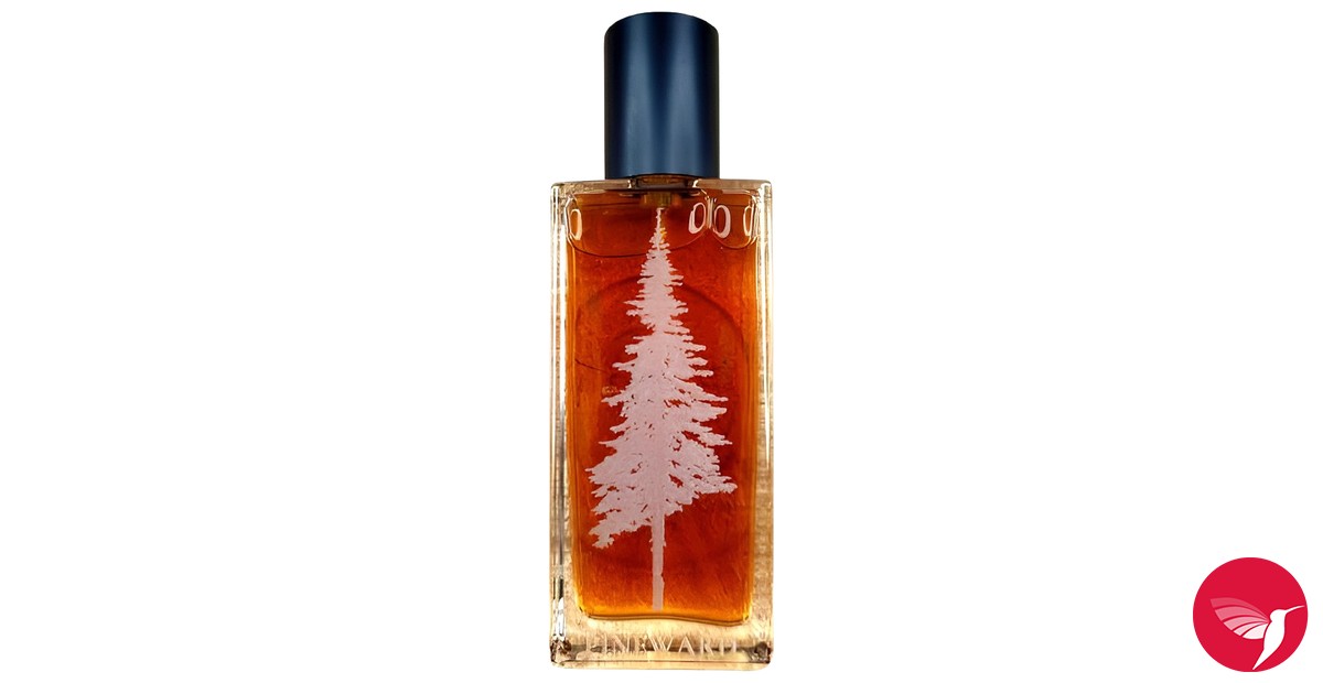 Tome Pineward Perfumes аромат — новый аромат для мужчин и женщин 2025