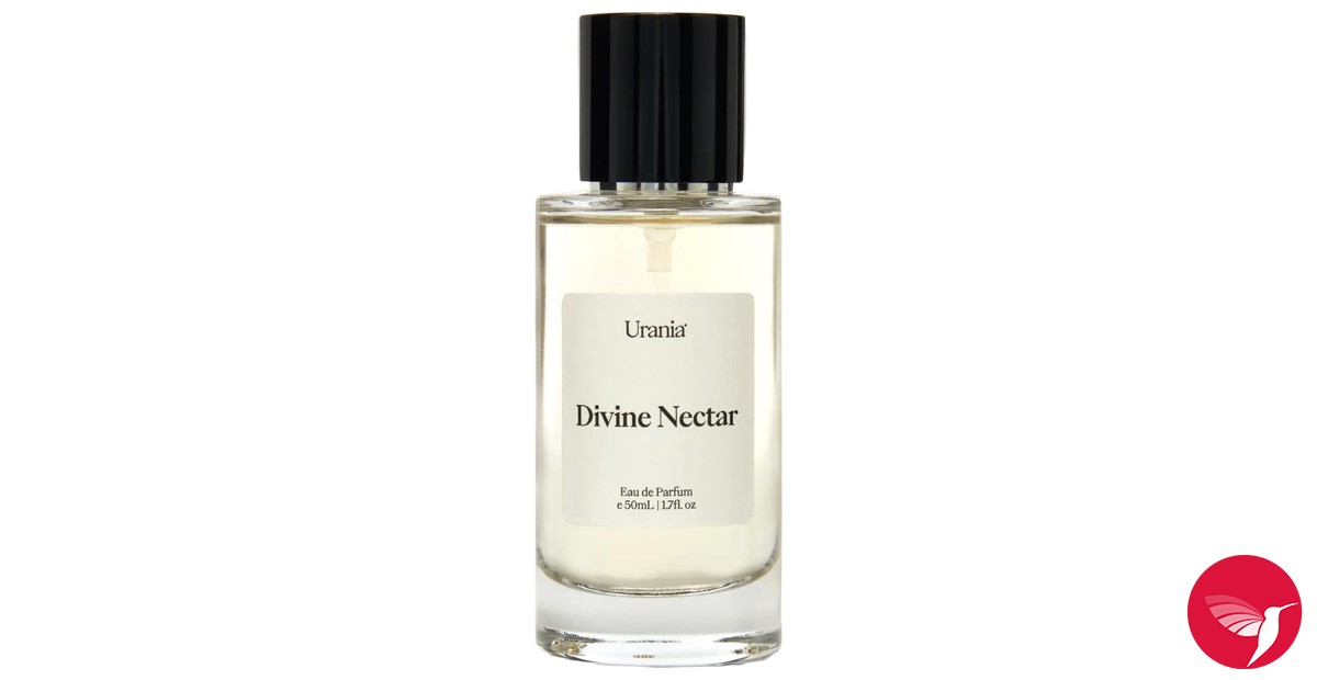 Divine Nectar Urania сүрчиг - a сүрчиг эрэгтэй эмэгтэй