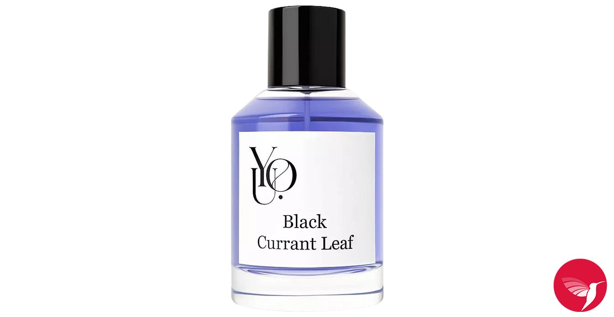 Black Currant Leaf YOU perfume - a new fragrance for women 2025