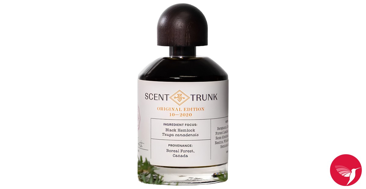 Black Hemlock Scent Trunk perfume - a fragrance for women and men 2020