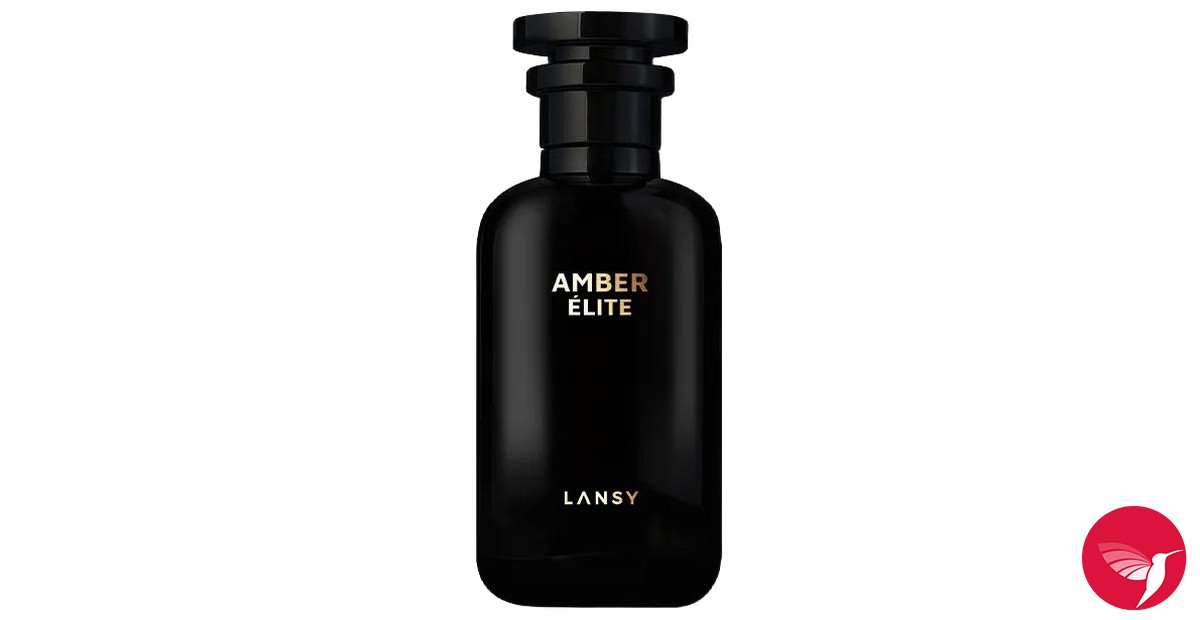 Amber Elite LANSY сүрчиг - a шинэ сүрчиг эмэгтэй 2025