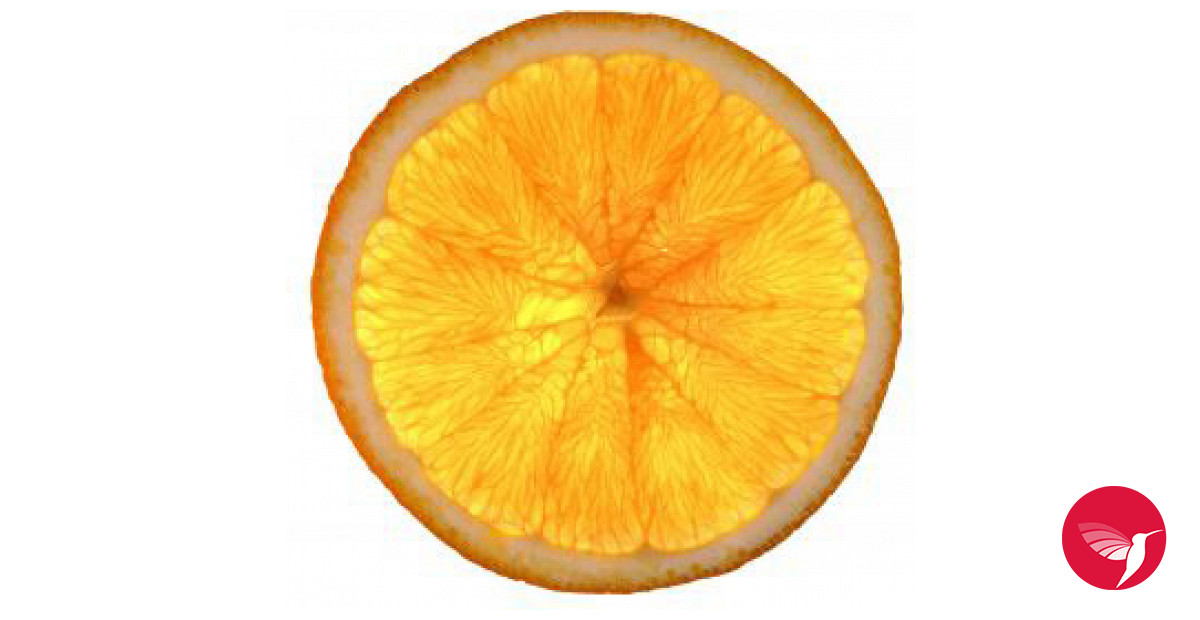 Chocolate Soldier Bud Parfums cologne - a fragrance for men