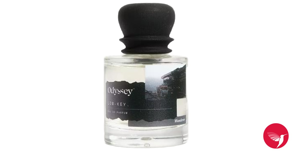 Low-Key Odyssey perfume - a fragrance for women and men 2024