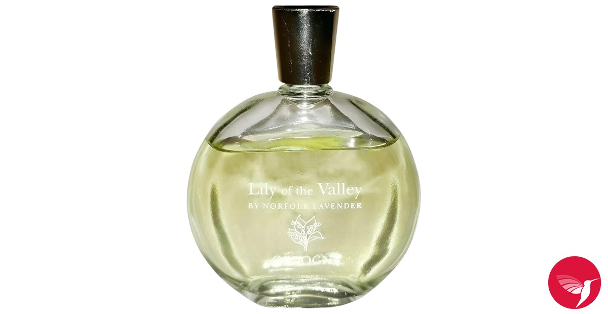 Lily of the Valley Norfolk Lavender perfume - a fragrance for women and men