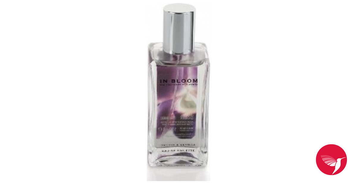 Orchid and Vanilla Marks & Spencer perfume - a fragrance for women