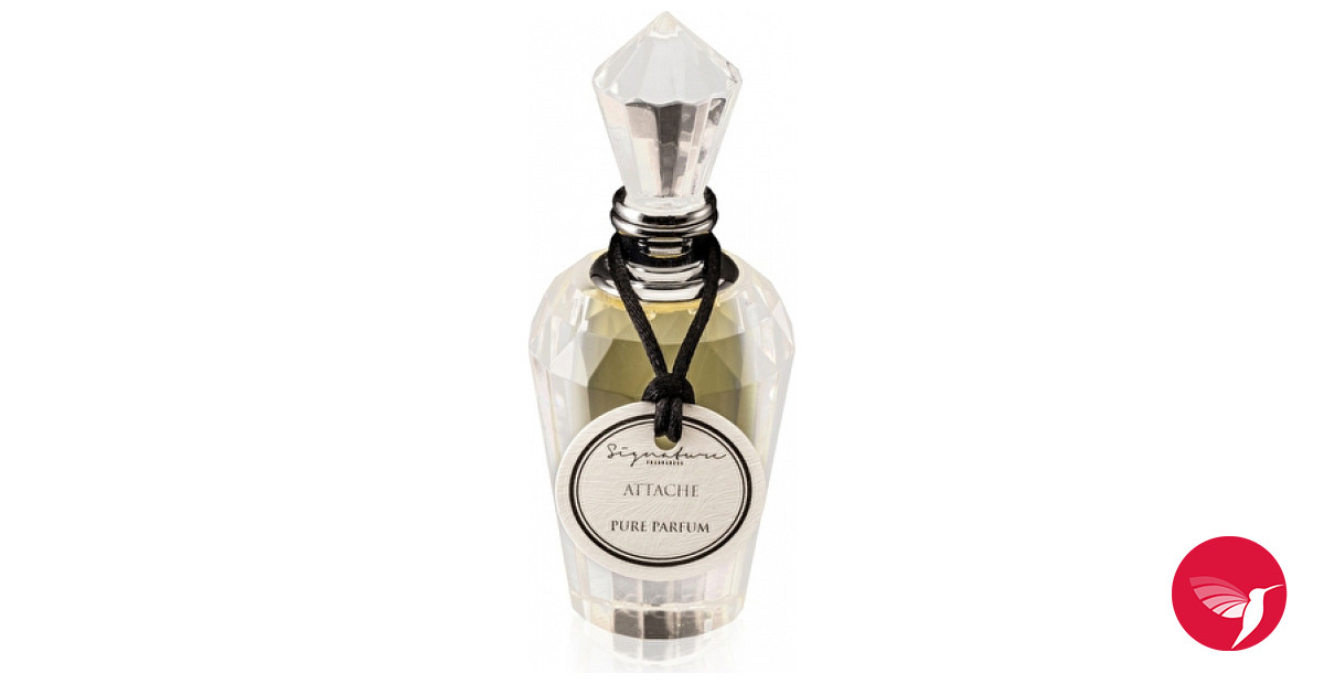 Attache Signature Fragrances cologne - a fragrance for men 2014