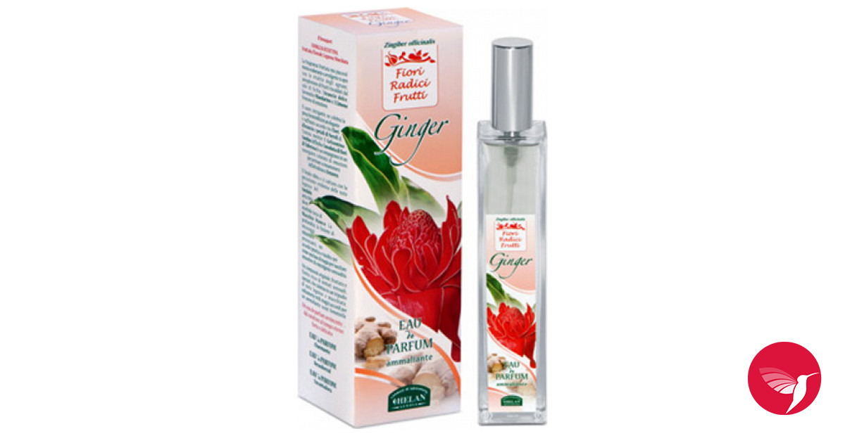 Ginger Helan perfume - a fragrance for women