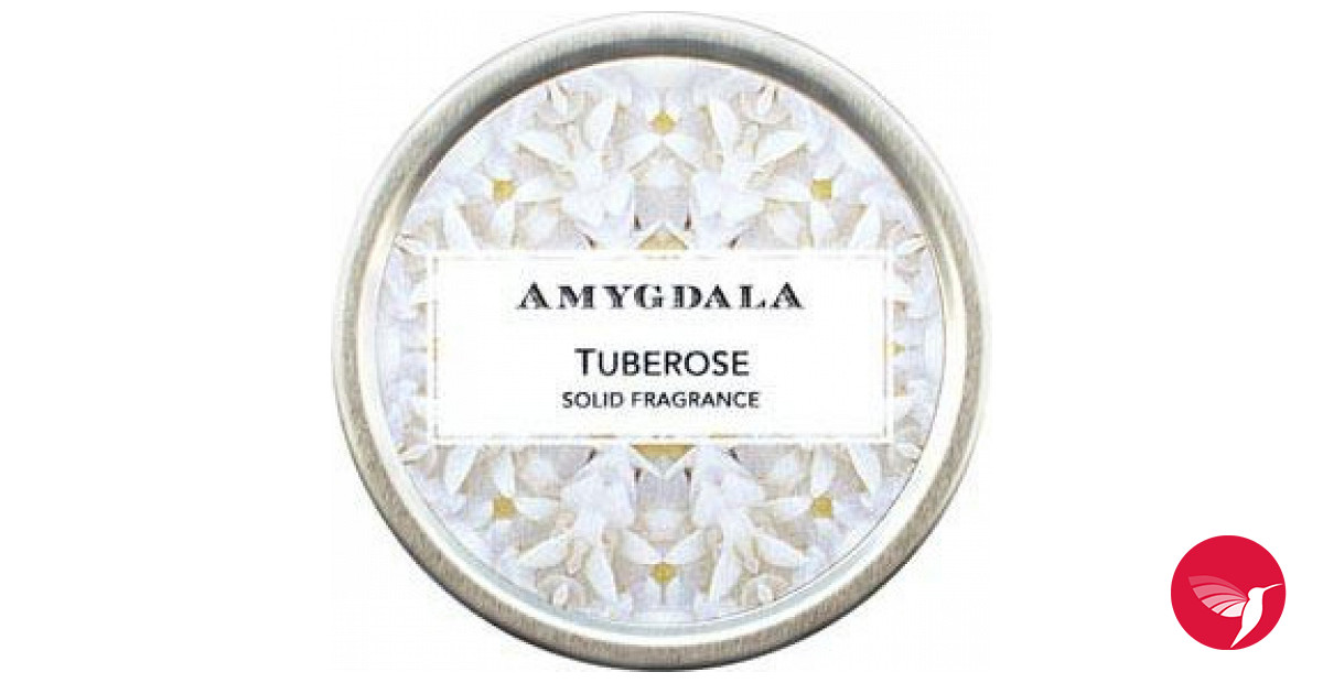 Tuberose Amygdala сүрчиг - a сүрчиг эрэгтэй эмэгтэй 2016