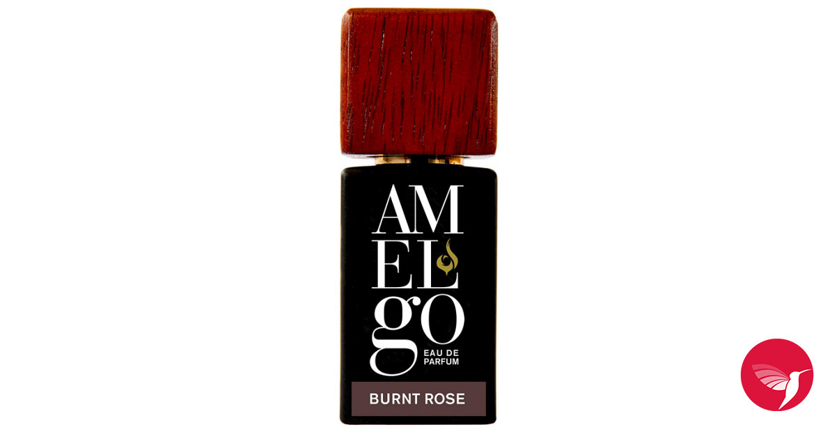 Burnt Rose Amelgo perfume - a fragrance for women 2018