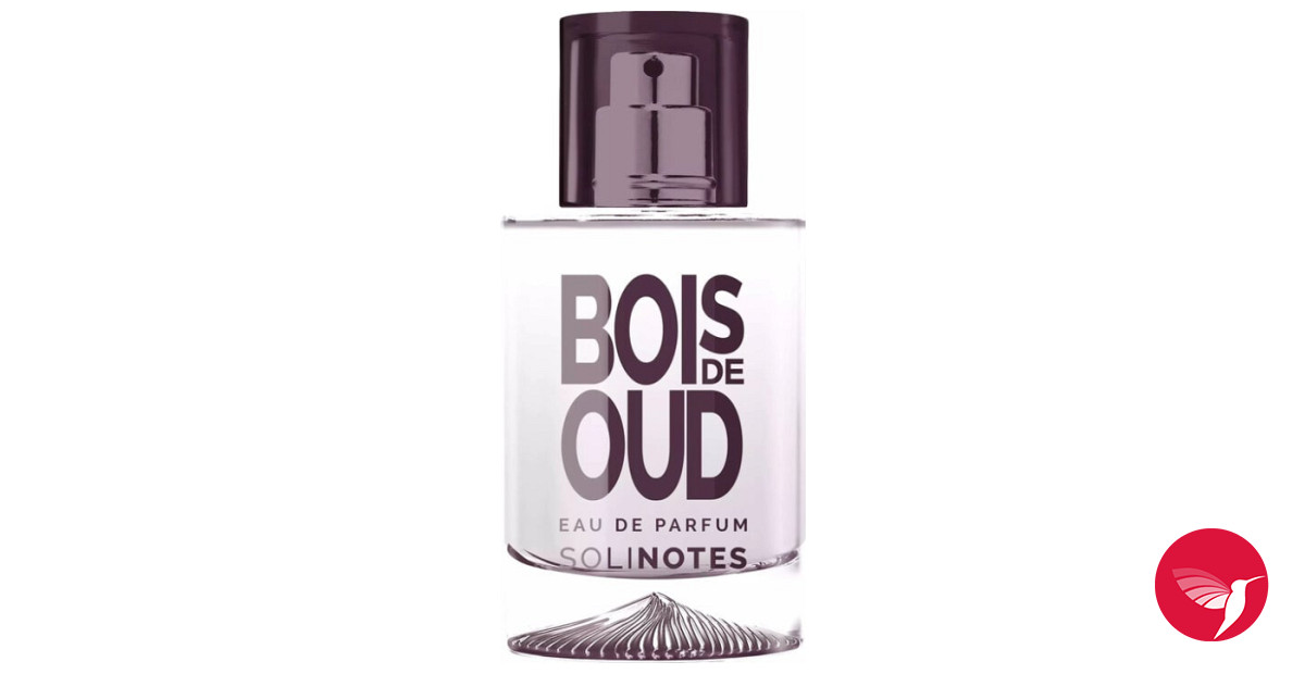 Bois de Oud Solinotes perfume - a new fragrance for women and men 2023
