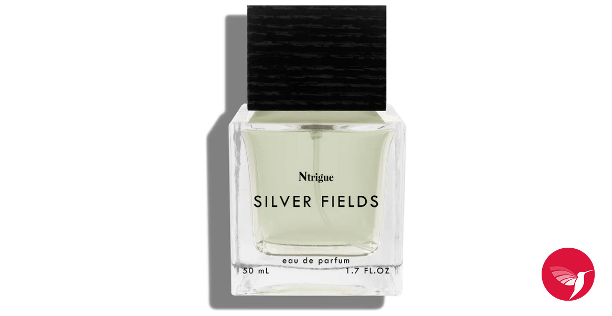 Silver Fields Ntrigue - una fragranza da uomo 2021