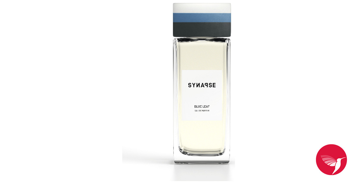 Blue Leaf Synapse عطر - a fragrance للجنسين 2022