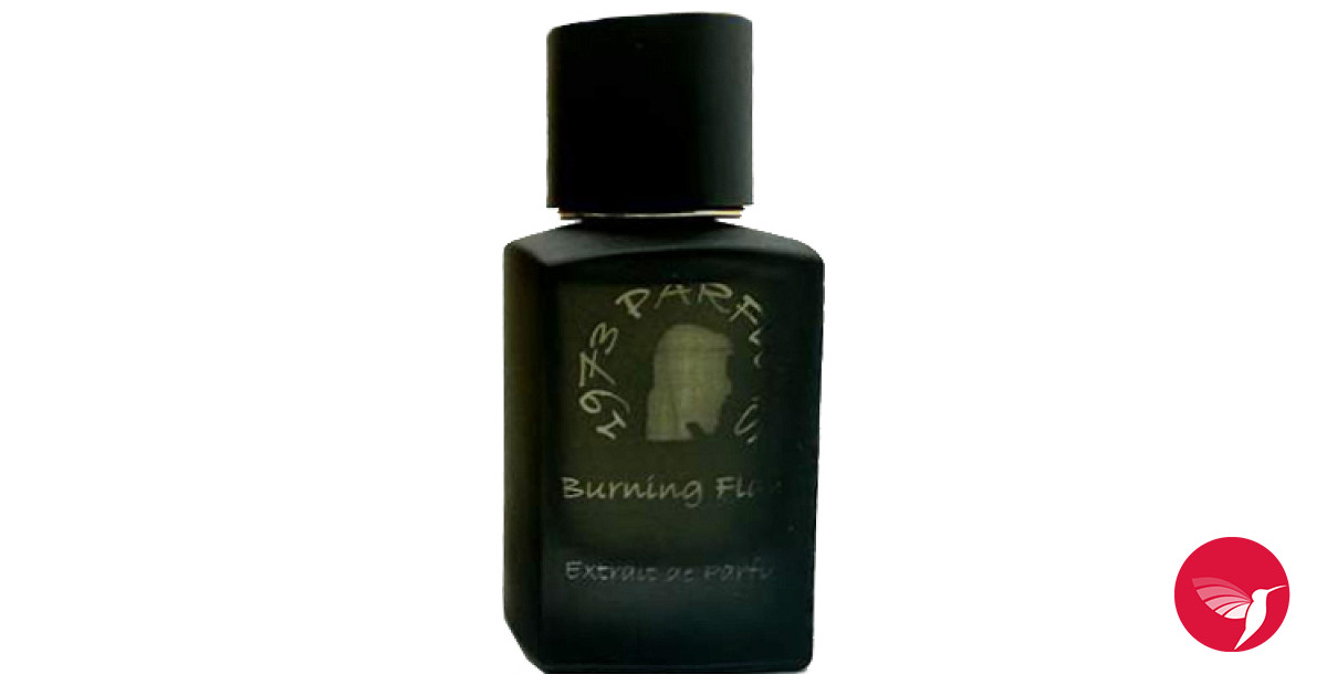 Burning Flame 1973 perfume - a new fragrance for women and men 2023