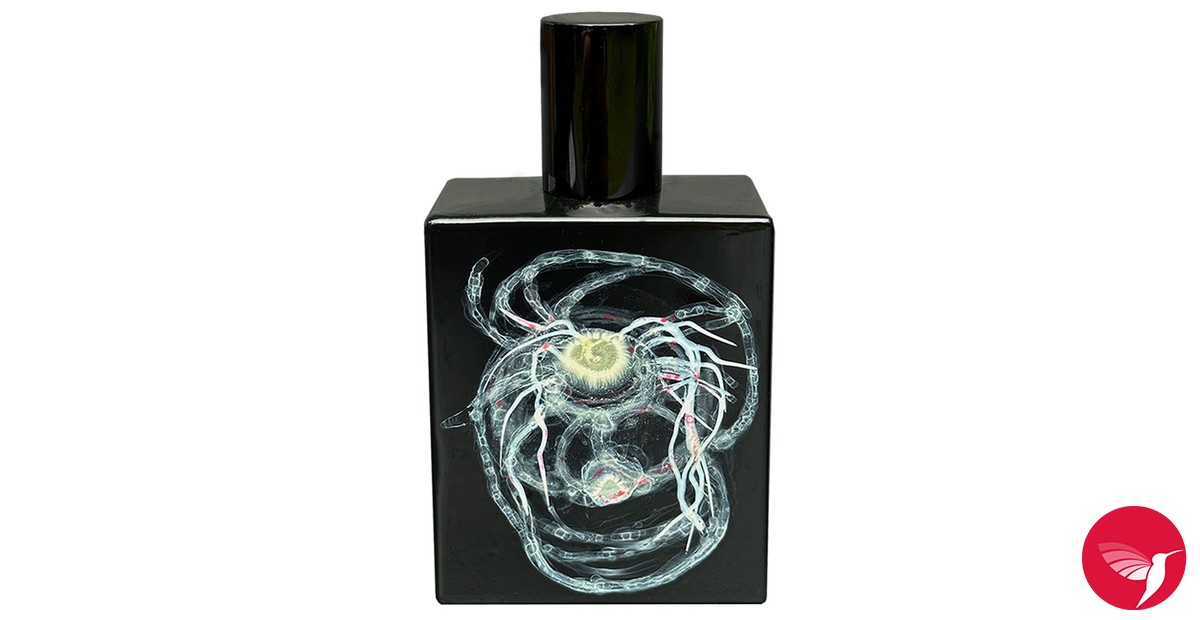 High to Lotus Space Fluid perfume - a new fragrance for women and men 2023