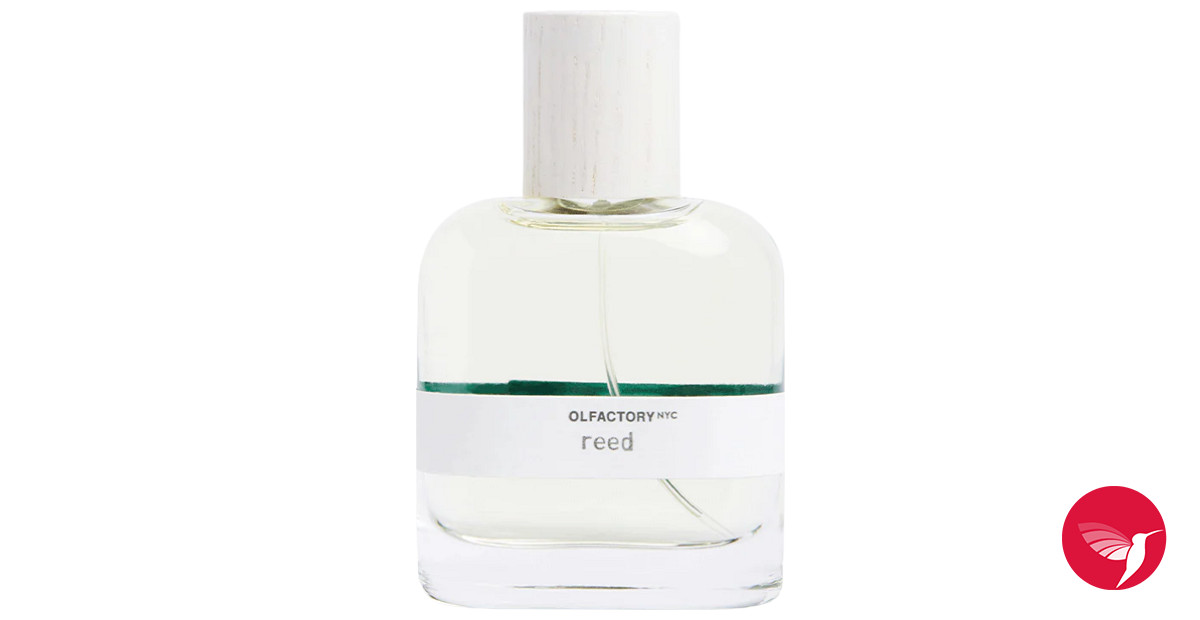 Reed Olfactory NYC perfume - a fragrance for women 2017
